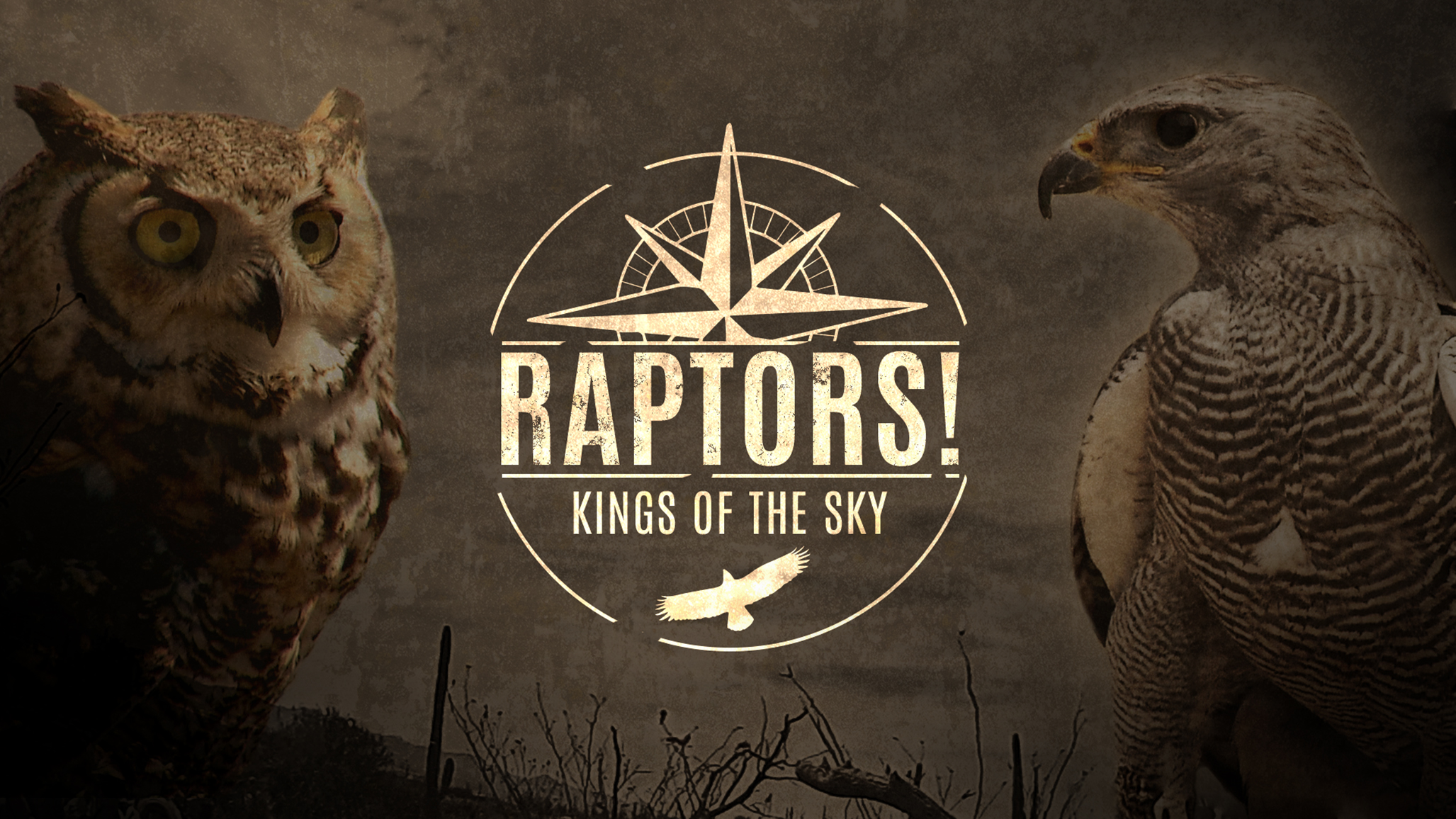 National Network Snatches Up Arizona Public Media Raptor Documentary ...